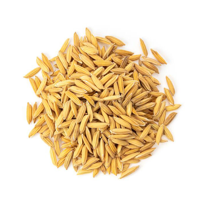 Orzo – ADAGLIO Sementi