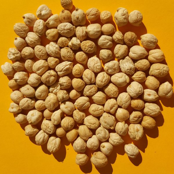 Cece GAVDOS – ADAGLIO Sementi